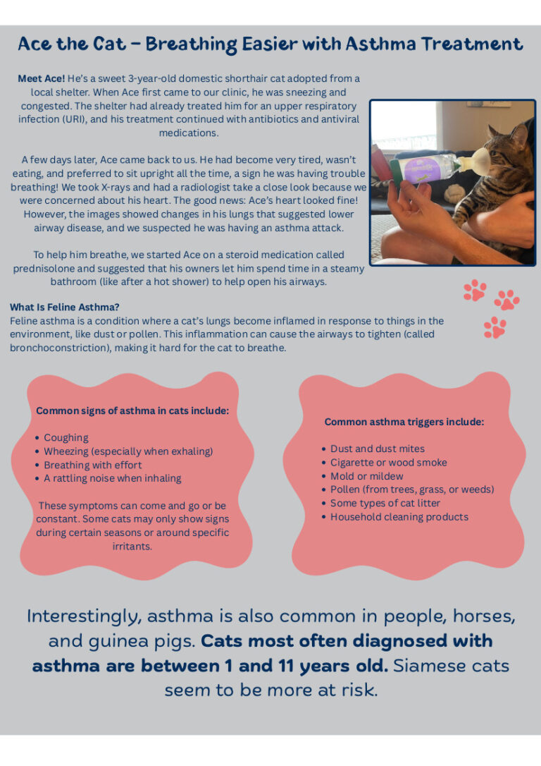 Asthma, Allergies, and Arthritis Awareness | Ark Animal Hospital | Ark ...