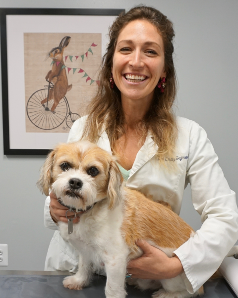 Meet Our Team | Ark Animal Hospital